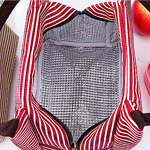 Lunch Bag 4PCS Lunch Organizer for office Lunch Cooler with Zip Closure Foldable Lunch Tote Bag, Reusable Lunch Holder Insulated Lunch Container Picnic Bag for Men Women