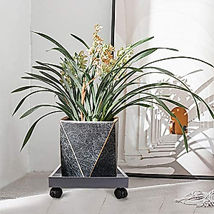 Fasmov 2 Pack Square Plant Caddy 12.4 Inch Plant Dolly Planter Caddies with Locking Wheels, Heavy Duty Plant Dolly Saucer for Moving Potted Planter, Rolling Planter Trolley Tray Coaster, Gray