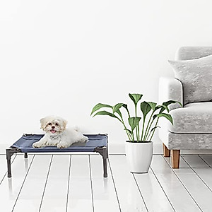 Elevated Dog Bed – 24.5x18.5 Portable Bed for Pets with Non-Slip Feet – Indoor/Outdoor Dog Cot or Puppy Bed for Pets up to 25lbs by Petmaker (Blue)