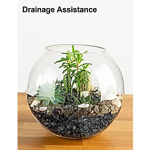 Organic Horticultural Charcoal, 100% All Natural Hardwood Charcoal, Activated Plant Charcoal for Soil Amendment, Orchids, Terrariums, Indoor Plants, Planting, and Gardening, 1.5 Quarts