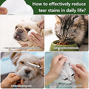 Xcdsxer Pet Wipes for Dogs & Cats, Dog Grooming Wipes for Eyes, Paws, Ears,Chin, Unscented Soft pet Wipes 200PCS