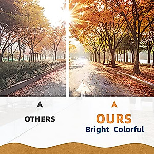 KONGTENBUY- 245xl 246xl Ink Cartridge Replacement for Canon Ink Cartridge 245&246 245xl 246xl Combo Pack Pg-245Xl Cl-246Xl PG-243 CL-244 for Canon Pixma MX492 MX490 MG2522 MG2920 (2 Black 1 Tricolor)