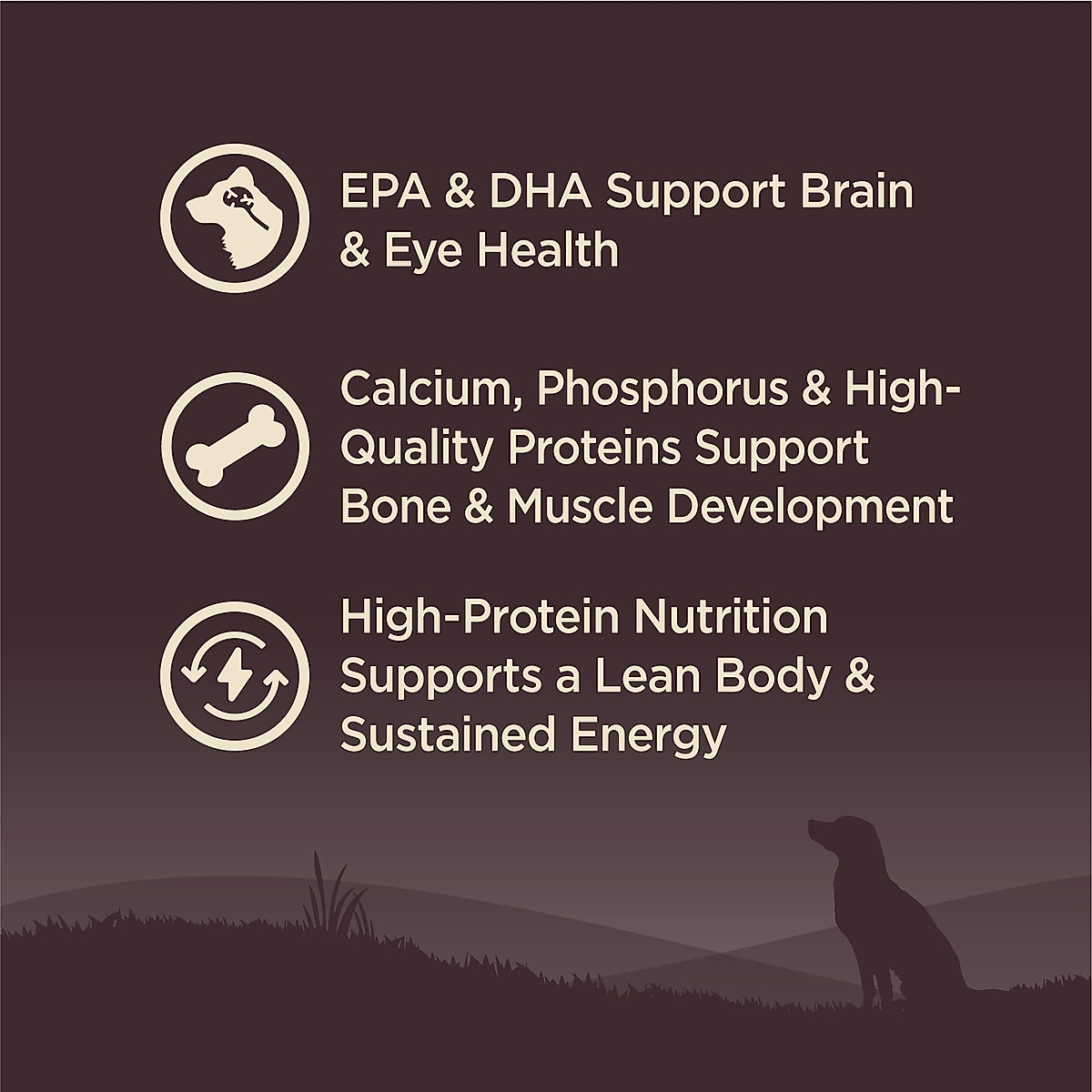 Wellness CORE Natural Grain Free Dry Dog Food, Puppy, 4-Pound Bag