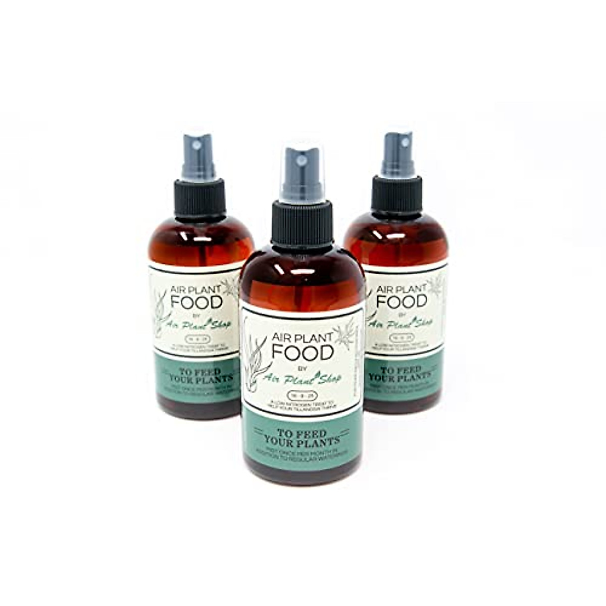 Air Plants Fertilizer in fine Mist Spray Bottle – Plant Food for Tillandsia - Monthly use for Growth of House Plants (1 Pack - 8 OZ)