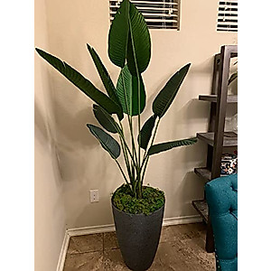 Silk Decor 5' Artificial Bird of Paradise Plant in Plastic Pot