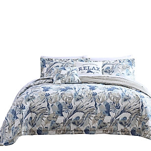Tommy Bahama - Queen Duvet Cover Set, Soft Cotton Bedding with Matching Shams, Tropical Home Decor with Solid Reverse (Raw Coast Blue, Queen)