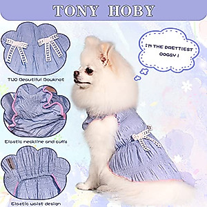 TONY HOBY Dog Dress, Dog Summer Dress, Dog Princess Dress Pleated with Bow-Knot, Soft Dog Tutu Outdoor Dress for Small Medium Dog (Blue, XS)