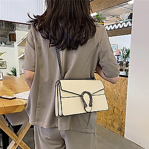 Crossbody Bags for Women Shoulder Hangbag Snake Printed Leather Small Square Satchel Purse Metal Chain Strap Clutch