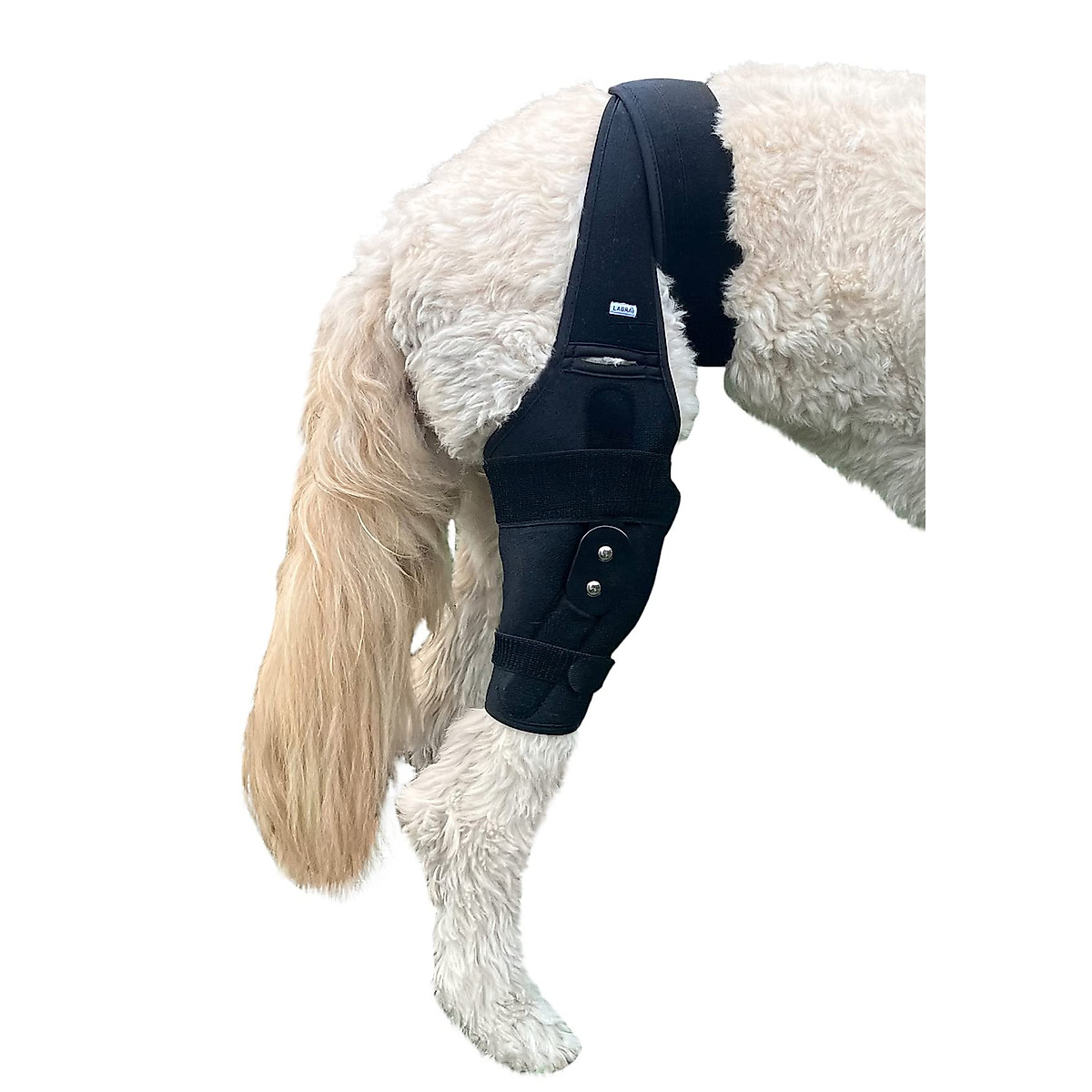 Labra Dog Canine Knee Stifle Brace Wrap, Metal Splint Hinged Flexible Support Brace for K9 ACL, CCL, Luxating Patella, Cruciate Ligament Sprains in Back, Rear, Hind Leg (Extra Large - 75-100lbs)