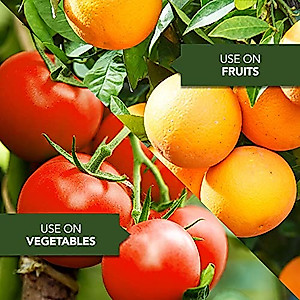 Natria Neem Oil, Concentrate, 24 oz