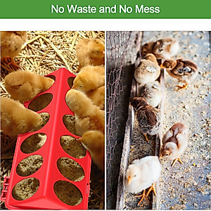 Kculehtlla Chick Feeder and Waterer Kit - Baby Chicken Supplies with Chicks Perch, Plastic Feeder Trough and 1.2L Waterer, Chicken Starter Kit for Coop and Brooder for Small Poultry Ducks Quail