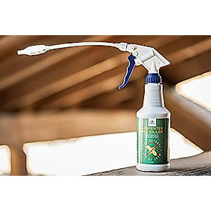 Donaldson Farms Carpenter Bee Killer Spray for Insects All Natural Foaming Spray, 16 oz