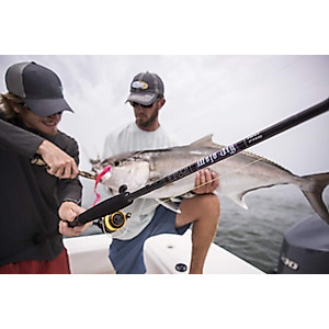 St. Croix Rods Mojo Jig Casting Rod