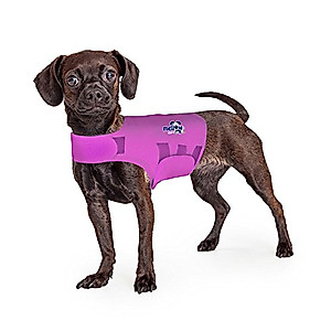 Mellow Shirt Dog Anxiety Calming Wrap, X-Small, Radiant Orchid