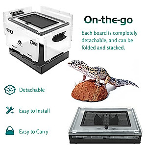 NEPTONION Reptile Terrarium 15.5"x12"x9" Reptile Breeding Enclosure Kits, Comes with Thermometer, Tong, Bowl and Some Decors, Suitable for Gecko,Chameleon, Lizard, Iguana,Snake, Bearded DragonTONION