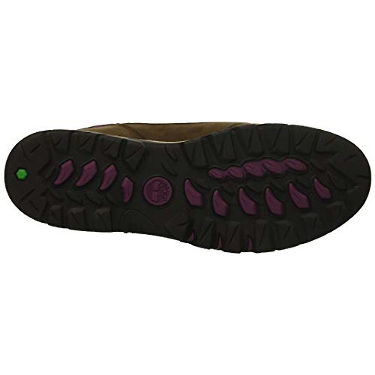 Timberland Women's MT. Maddsen Winter Waterproof Ins Hiking Boot, Dark Brown Nubuck, 9 M US