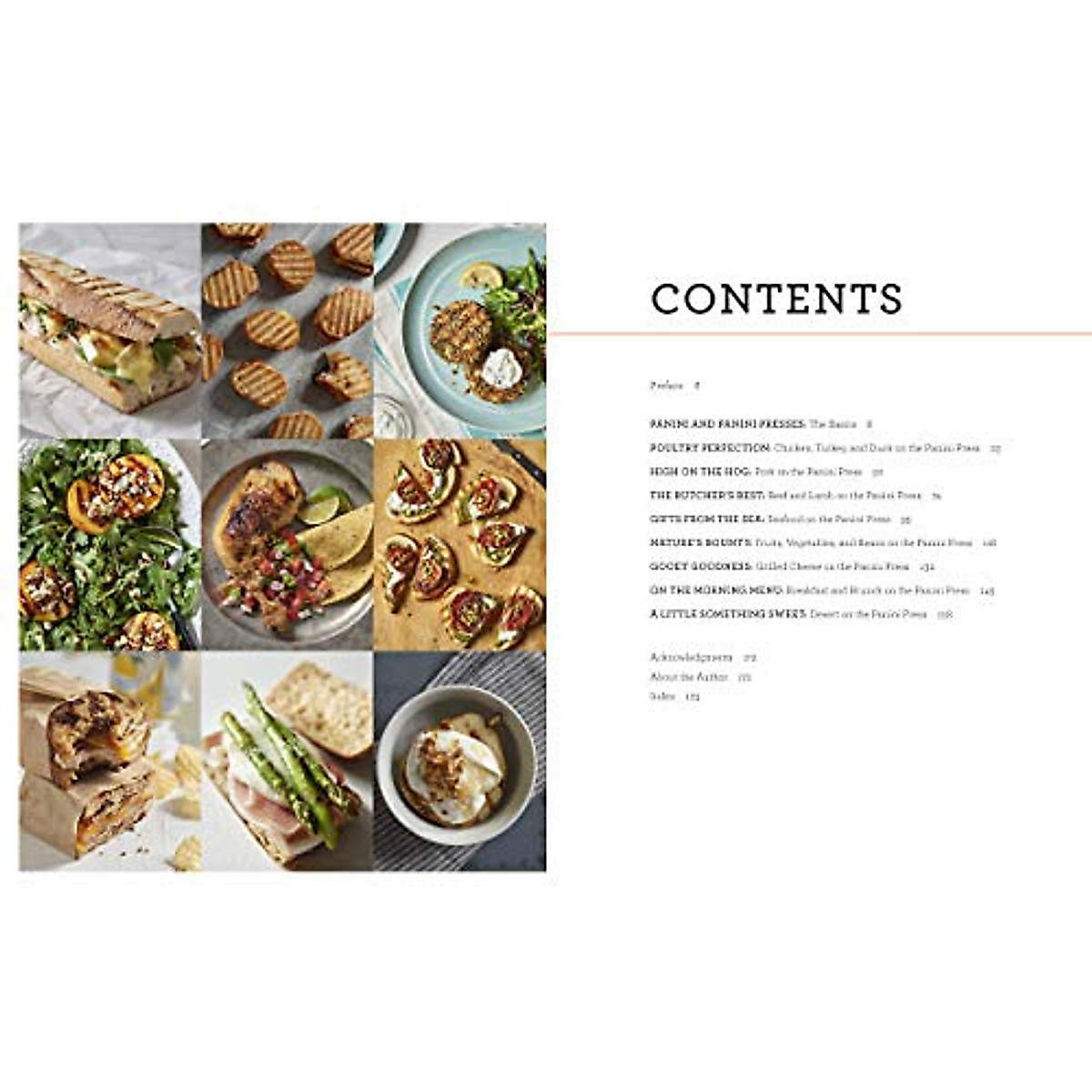 The Best of the Best Panini Press Cookbook: 100 Surefire Recipes for Making Panini--and Many Other Things--on Your Panini Press or Other Countertop Grill