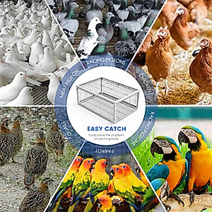 PAUQRWIE Pigeon Trap Cage Bird Traps for Small Birds Folding One-Way Entrance Trapping Portable U-Trap Door for Doves Breeding Supply Pigeon Coop