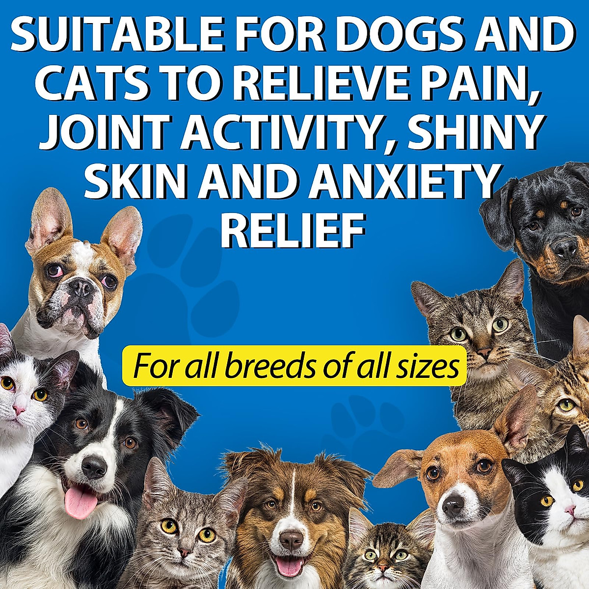 AIQIUSHA Oil for Dogs 60ML,Organic Pet Oil for Pain,Skin,Arthritis Pain,Pain Relief,Calming,Omega 3,6,9 for Dog Emotions, Dog Barking & Dog Joints,Supports & Maintains Healthy Joints (1 Pack, Blue)