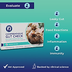 Innovative Pet Lab Comprehensive Gut Health Test Kit for Cats - at-Home Cat Stool Test for Immune & Gluten Sensitivity Symptoms Like Diarrhea, Vomiting, Itchy Skin - Easy Non-Invasive Testing Kit