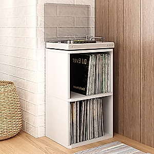 Way Basics Vinyl Record Storage - 2 Tier Book Shelf Turntable Stand (Fits 170 Albums)