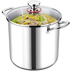 LIANYU 12 Quart Stock Pot with Lid, 18/10 12 QT Stainless Steel Soup Pot, Tri-Ply Heavy Duty large Canning Pasta Pot, Big Deep Pot for Cooking, Nonstick Induction Stockpot with Measuring Mark