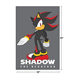 Pyramid America Sonic The Hedgehog Shadow Sega Video Game Gaming Cool Wall Decor Art Print Poster 12x18