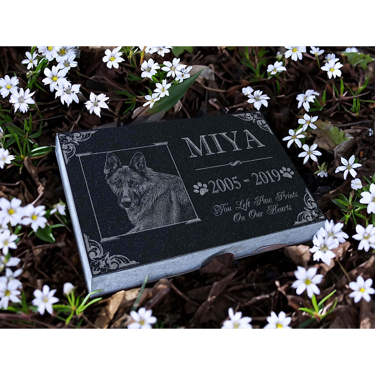 You Left Paw Prints on Our Hearts Pet Memorial Stones Personalized Headstone Grave Marker Absolute Black Granite Garden Plaque Engraved with Dog Cat Name Dates
