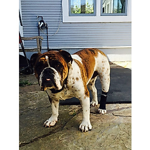 WALKABOUT Compression Sleeve (Black, XSmall