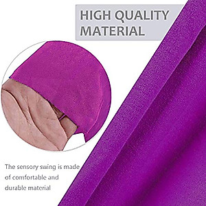 Dadoudou Sensory Swing Indoor, Swing Hammock Chair for Kids with Special Needs, Autism, ADHD, SPD, Aspergers, Sensory Integration, Snuggle Cuddle Pod Therapy Swing with Hardware Included (Purple)