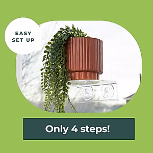 Window Garden Veg Ledge - Window Shelf for Plants, Clear Acrylic Shelves - Suction Cup Indoor Plant Holder - Glass Window Sill Extender for Microgreens Kit, Seed Starter Pots, Planters (1 Pack)