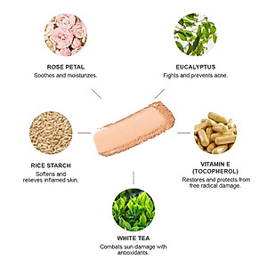 100% PURE Powder Foundation Matte Finish Face Makeup - Oil Absorbing Pressed Poreless Concealer - Vegan Fruit Pigmented Sand Color (Light-Medium Shade w/Neutral Undertones) - 0.32 Oz