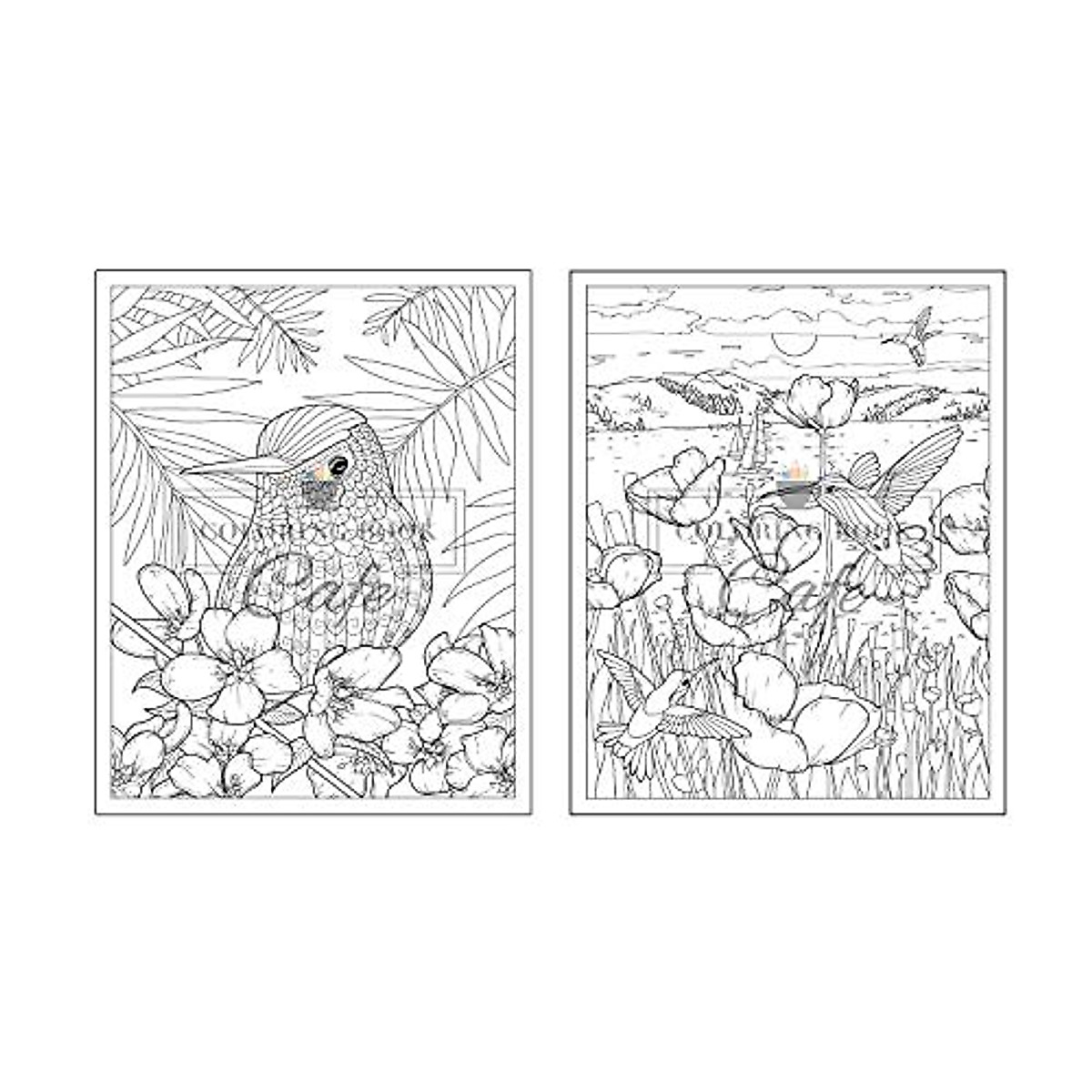 Hummingbird Coloring Book: An Adult Coloring Book Featuring Charming Hummingbirds, Beautiful Flowers and Nature Patterns for Stress Relief and Relaxation