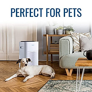 Habitat Medium Room Air Purifier with HEPA 13 Activated Carbon Filtration System, Real-Time Air Quality Monitor and Alert, Whisper Quiet Fan with Three Speeds, Filter Replacement Reminder, White