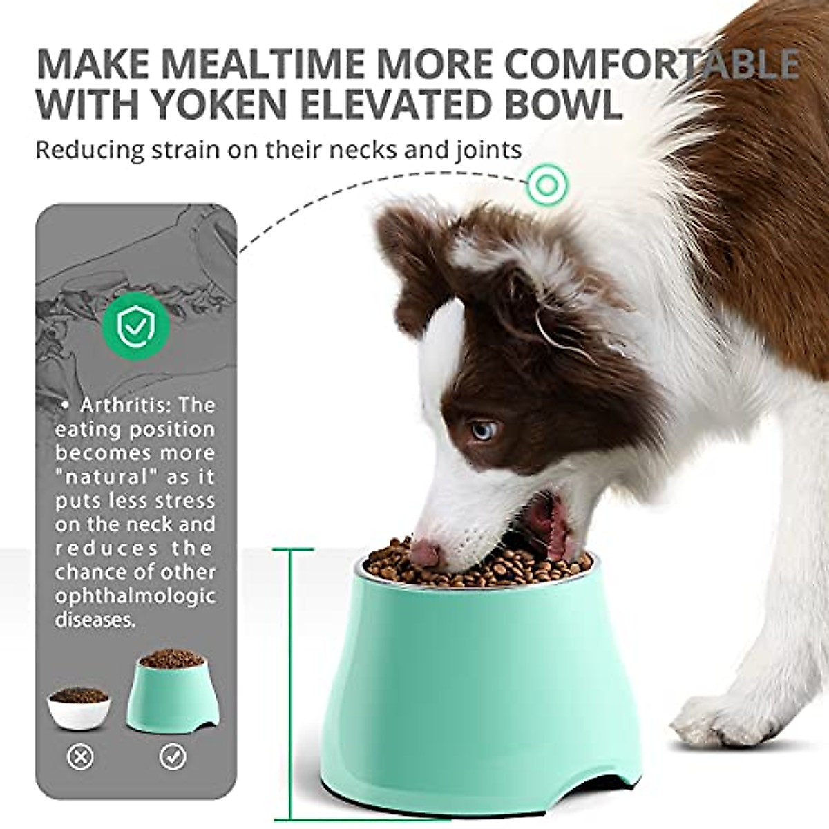 yoken Elevated Dog Bowls, [Prevention of Vertebrae Disease] [Super Non-Slip] Dog Bowl with Stainless Steel Bowl, High Capacity Dog Food Bowls, Colorful Raised Dog Bowls for Medium/Small Size Dogs