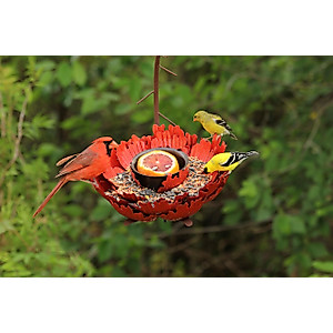 Desert Steel Coral Sunset Peony Hanging Feeder - (Orange - 9”W x 11.5”H) - Loose Seed Metal Birdfeeder