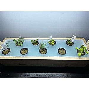 Tabletop Hydrogarden 9 Spots