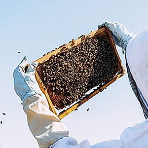 KINGLAKE GARDEN Beekeeper's Glove Beekeeping Gloves Bee Hive Gloves with White Vent Long Canvas Sleeve with Elastic Cuff