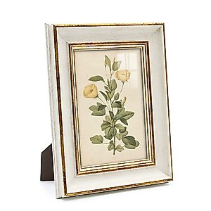 Sapowerntus Vintage 5x7 Picture Frame White Distressed Gold Edging Photo Frames Set Antique Real Glass Wall Hanging Tabletop Display Home Decor Elegant Victoria Retro Gift