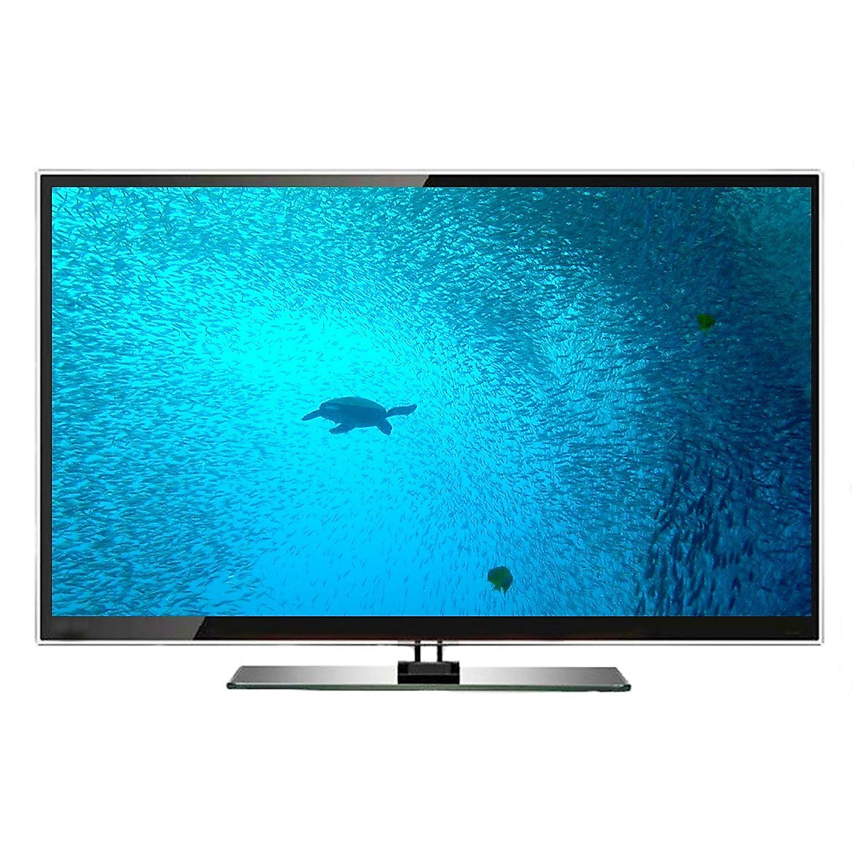 Underwater DVD - Ocean Dreaming - Relaxing Scenes of Corals and Tropical Fishes