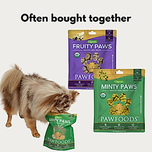 PawFoods Treats - Minty Dog Dental Treat - Organic Dog Treats Chews, Healthy Dog Mints for Bad Breath, Dog Breath Freshener & Teeth Strength, Only 5 Cal, Approx. 60 Treats Per Bag - 170g - Made in USA