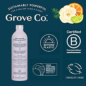 Grove Co. Foaming Hand Soap Concentrate (12 Fl Oz) + Reuseable Glass Soap Dispenser, Plastic Free and Liquid Refillable Starter Kit, Natural Lavender Blossom & Thyme Fragrance
