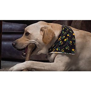 Hero Bonetics™ Femur Bone Dog Chew Toy Medium / Peanut Butter