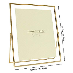 MIMOSA MOMENTS Gold Metal Floating Picture Frame (Gold, 8x10)