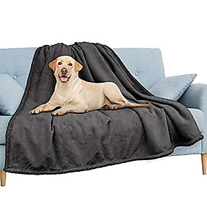 PAVILIA Waterproof Blanket for Couch, Sofa | Waterproof Dog Blanket for Large Dog, Puppy, Cat | Pet Blanket Protector | Plush Soft Warm Fuzzy Sherpa Blanket Bed Throw, Dark Grey, 60x80