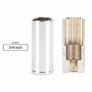 TEKTON 3/8 Inch Drive x 1/4 Inch Deep 12-Point Socket | SHD13206