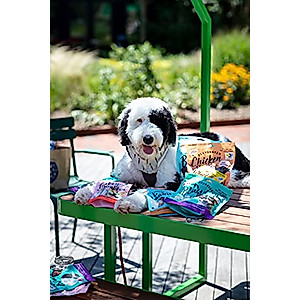 Pet Jerky Factory Premium Dog Treats | 100% Human Grade | USA Made | Grain Free | Turkey and Pumpkin, 5 oz.