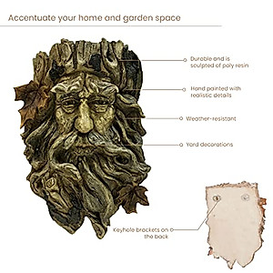 Bits and Pieces - 'Old Man' Tree Hanging Planter - Yard Decorations - Whimsical Tree Sculpture - Indoor/Outdoor Decoration - Garden Peeker Yard Art