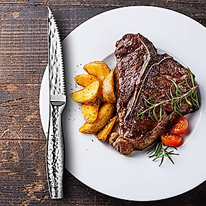 CHUIFU Steak Knives, Steak Knives Set of 4, 4.5 Inch Stainless Steel Serrated Steak Knife, Hammered Pattern Hollowed Handle, Steak Knife Set with Gift Box