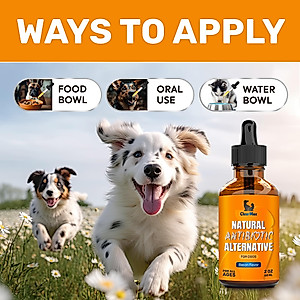 Natural Antibiotics for Dogs ◆ Dog Antibiotic ◆ Antibiotics for Dogs ◆ Dog Multivitamin ◆ Pet Antibiotic ◆ Dog Antibiotics ◆ Antibiotic for Dogs ◆ 2 Oz